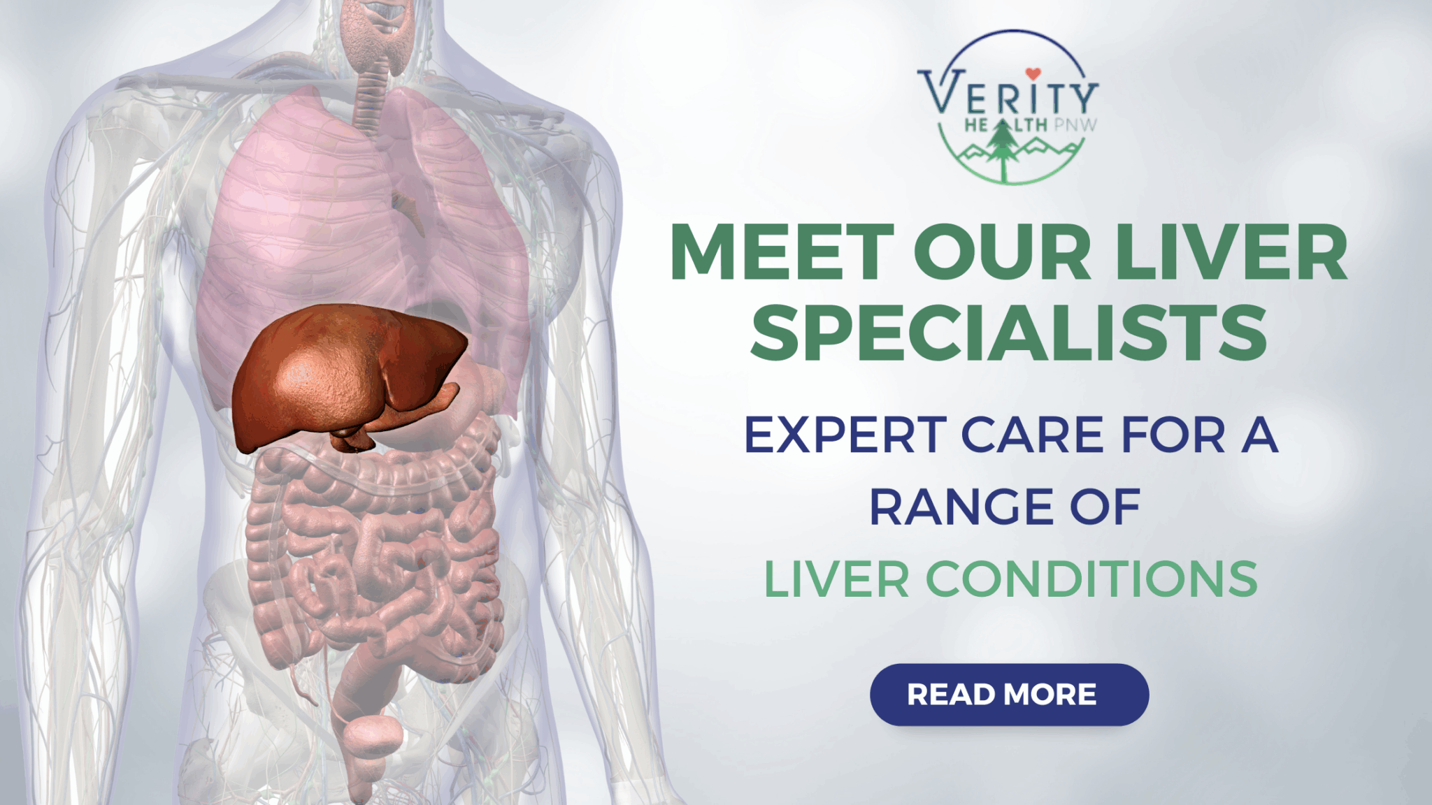 Meet Our Liver Specialists: Expert Care for a Range of Liver Conditions ...
